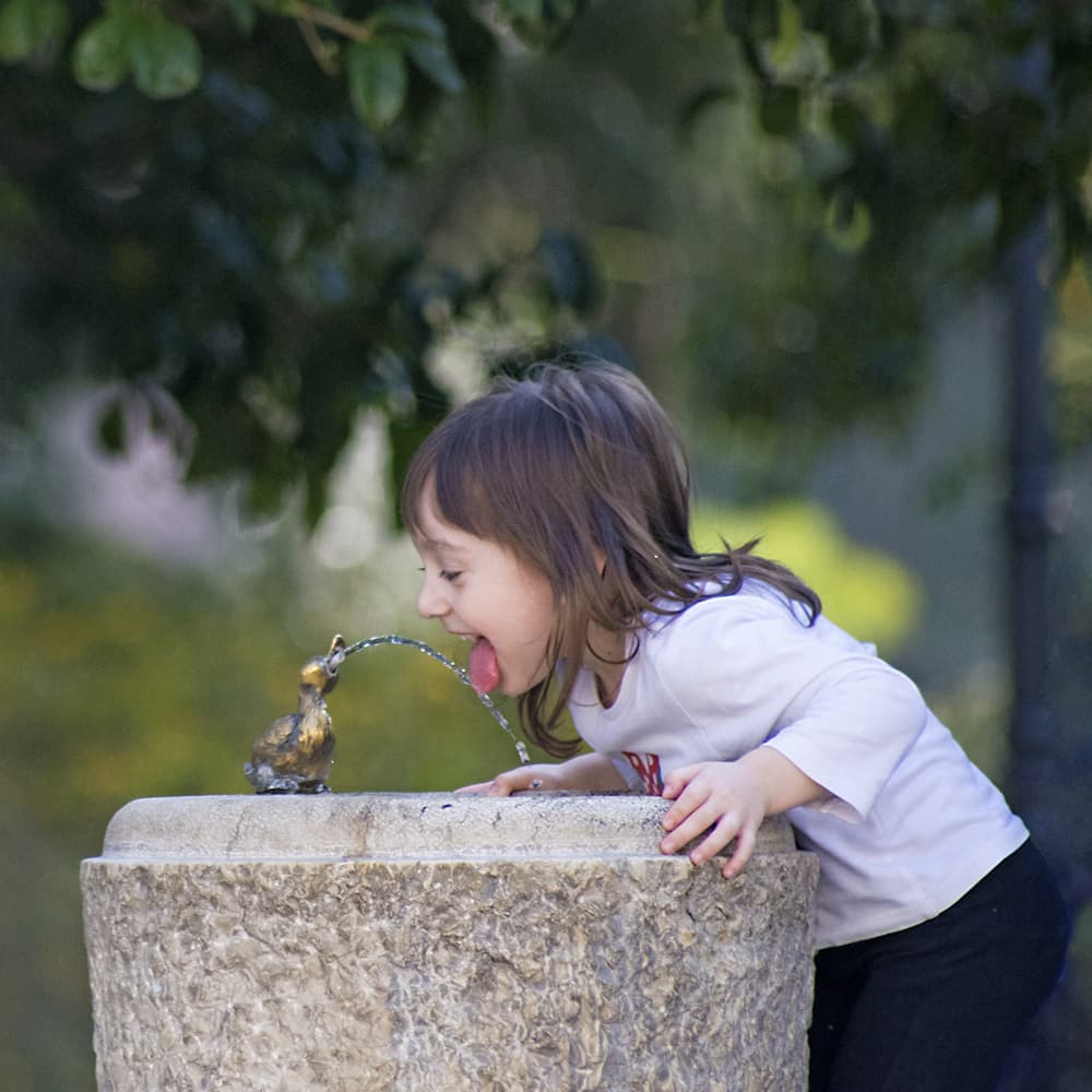 Wise Water Use Brings Long-Term Sustainability for Arizona