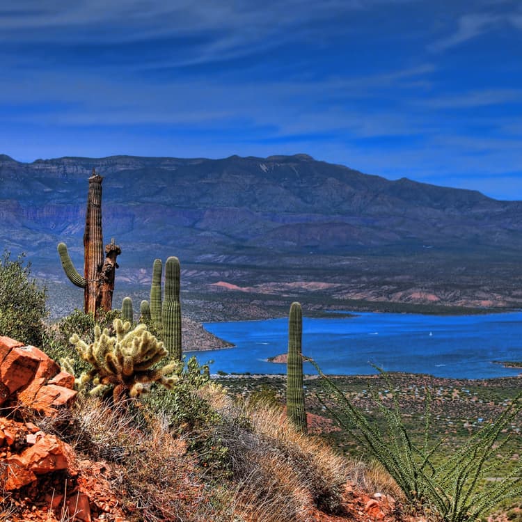 Appreciating Arizona's Unique Landscape While Embracing the Challenges