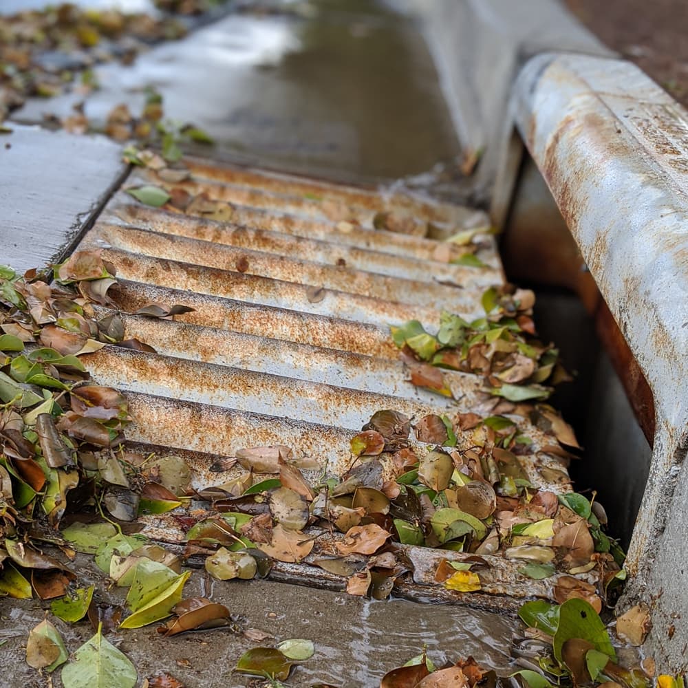 Prevent Stormwater Pollution: Only Rain Should Go in the Storm Drain