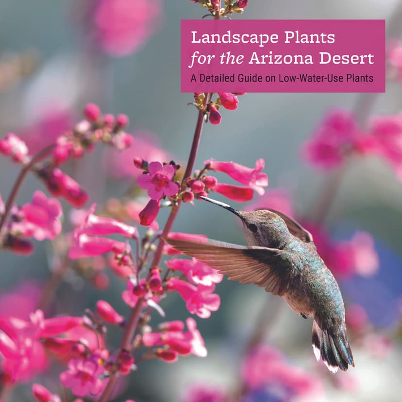 Rediscover the new "Landscape Plants for the Arizona Desert" for fall ...